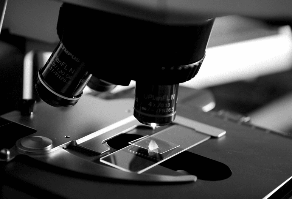 What is microhistory? | Melody Dexter