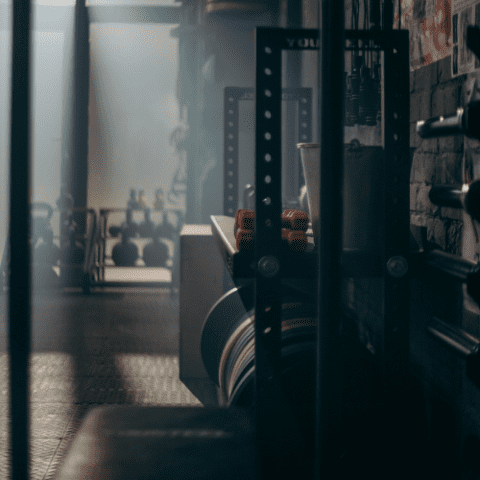 5 reasons you should listen to Arnold’s Pump Club | Melody Dexter